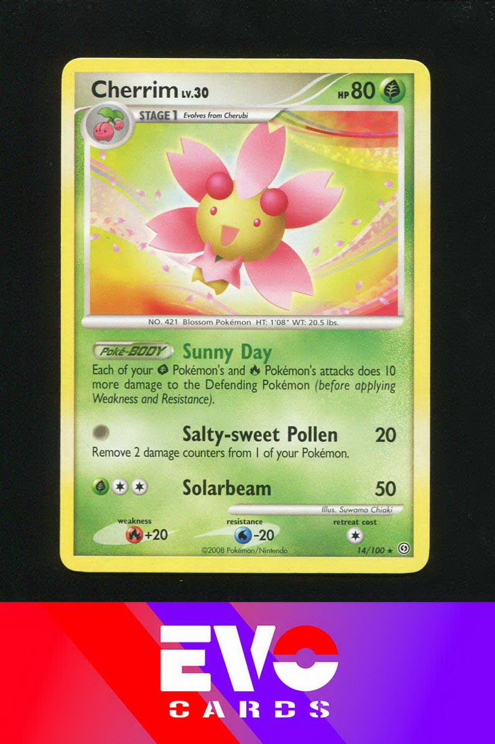 Cherrim 14/100 - Stormfront - Excellent